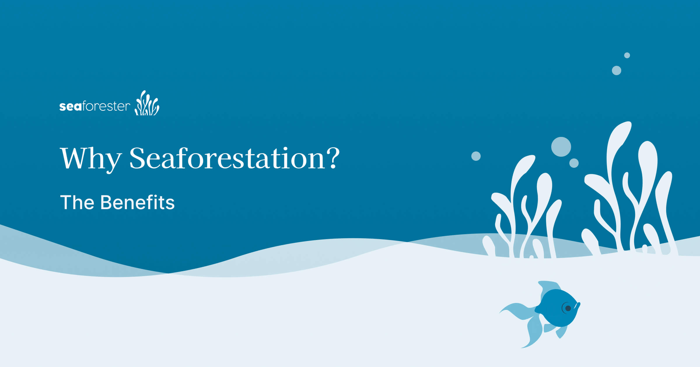 SeaForester - Why SeaForestation - The Benefits